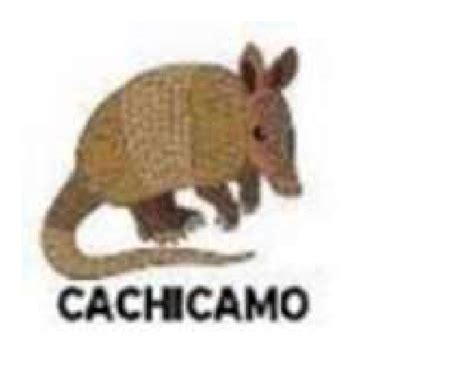 Cachicamo Pdf