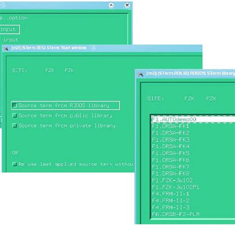 Source Term Input With Coupling To Rodos Source Term Library
