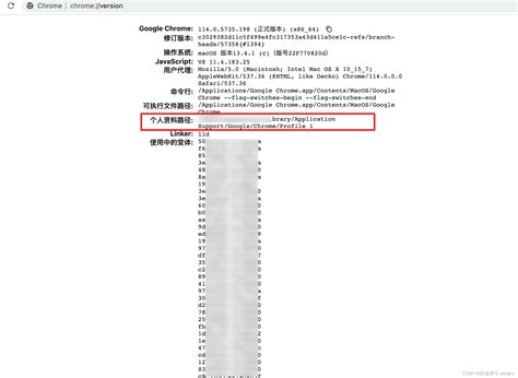 （chrome ext）谷歌扩展程序 谷歌插件渗透测试方法记录 chmore渗透测试 csdn博客