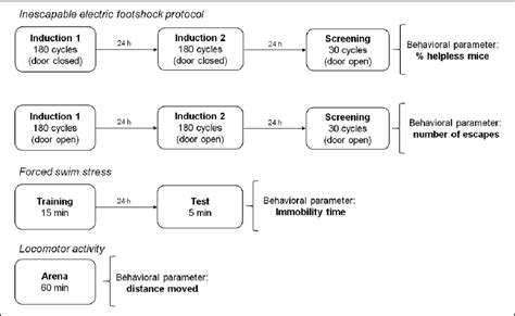 Figure 1 From Modulation Of The Nop Receptor Signaling Affects Resilience To Acute Stress