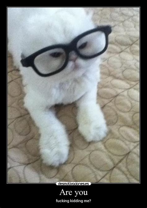 Imágenes y Carteles de NERD Pag 4 Desmotivaciones