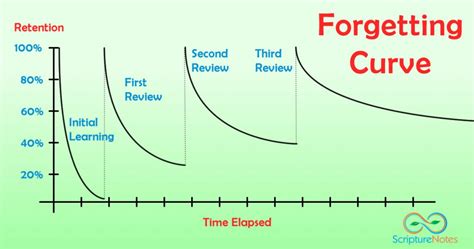 The Forgetting Curve In Scripture Study Scripture Notes