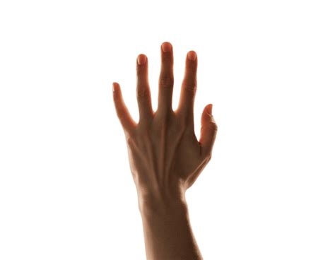 Grabbing Hand Pngs For Free Download