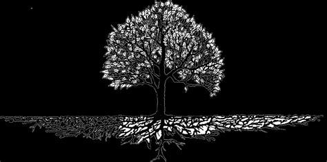 200 Tree Silhouette Png Images Wallpapers Com
