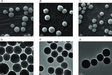 Sem Micrographs Of Bare Active Silica Gel A Sio2 Nh2 Cooh B And
