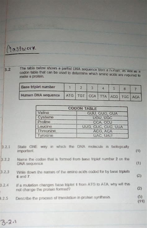 32 The Table Below Shows A Partial Dna Sequence From A Human As Well As
