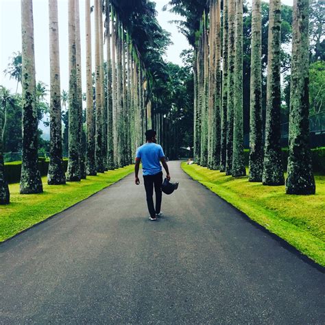 Kasun Bandara Getyourguide Supplier