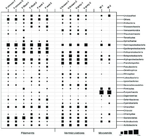 Microbial Community Composition At Phylum Proteobacteria Class Level Of Download Scientific