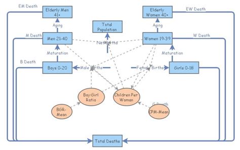 population gender dynamics insight maker