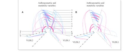 Significant Correlations Between Variables Relating To VLDL TG Download Scientific Diagram