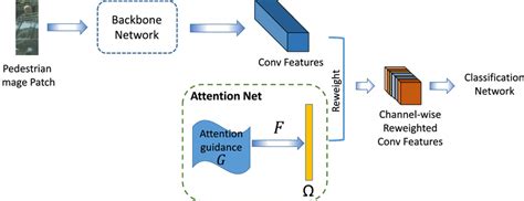 flowchart of attention guided network for pedestrian detection or
