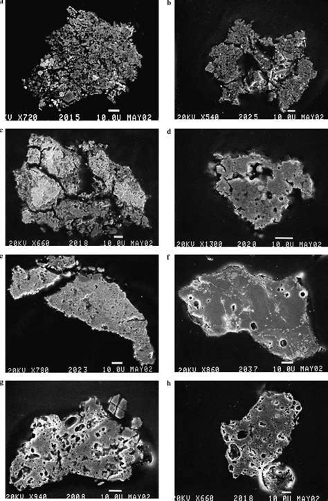Micrographs Of Representative Micrometeorites Showing The Different
