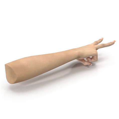 Mano Femenina 3 Pose 2 Modelo 3d 49 3ds C4d Fbx Ma Obj Max