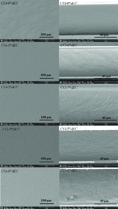 Sem Micrographs Of Surface Left And Cross Section Right Of Cgec Films Download
