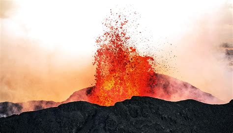 Volcanic Co2 Emissions Triggered Triassic Extinction Futurity