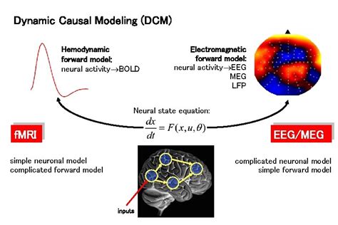 dynamic causal modelling dcm for f mri klaas