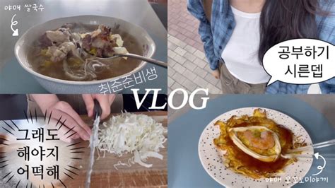 Vlog 취준준비생의 일상 브이로그 집밥해먹고 알바하고 공부하는 일상 맛있는 다이어트 식단 추천 쌀국수 오꼬노미야끼 양배추폭탄 고기집볶음밥 Youtube
