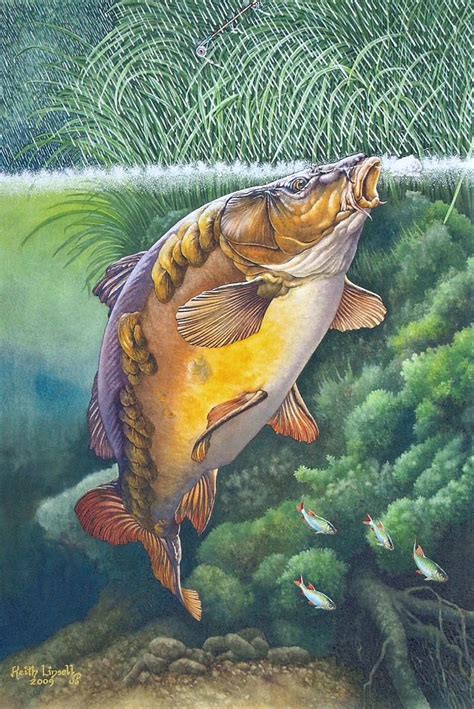 Angling Keith Linsell