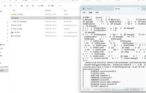 深入理解：数据文件与程序文件的区别，文本与二进制文件的转换 csdn博客
