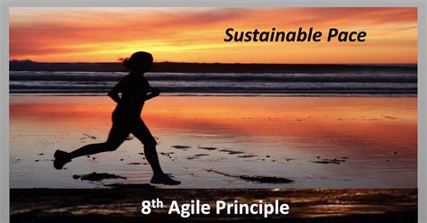 Agile Adoption Roadmap What Does The 8th Agile Principle Sustainable Pace Look Like In Action