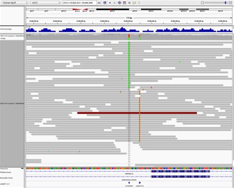 Igv Tutorial · Griffithlabrnaseqtutorial Wiki · Github