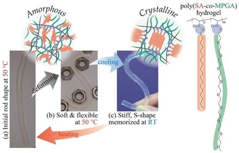 Thermosensitive Shape Memory Polystearyl Acrylate Co Methoxy Poly