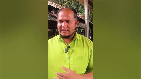 যেভাবে খামারের যাত্রা শুরু Cow Farming Khet Khamar Cow Farming Youtube