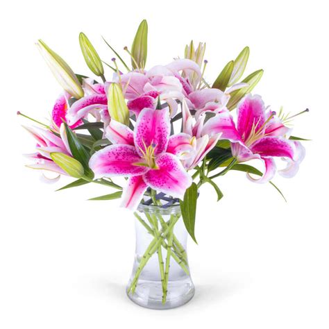 Stargazer Lily Bouquet Flower Delivery Wanaque New Jersey Flora