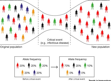 Figure 1 From Impact Of Historic Migrations And Evolutionary Processes