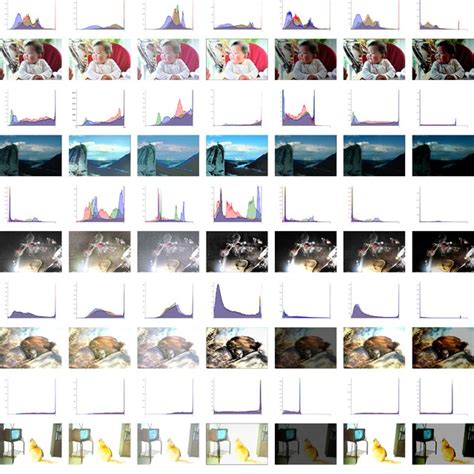 The Visual Comparison Of The Resultant Images Produced By Various