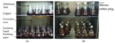 Thermally Accelerated Aging Process Of Oil Paper Insulation In A Download Scientific Diagram