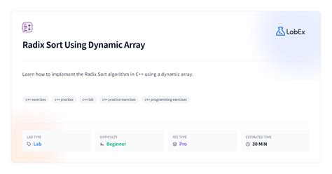 Radix Sort Using Dynamic Array Labex