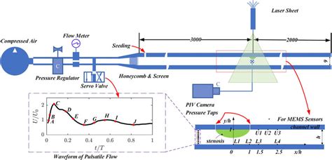Schematic Of The Experimental Setup For Piv Measurements Of Both Steady Download Scientific
