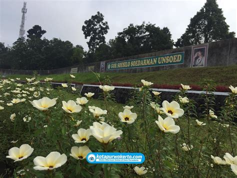 Suasana Gor Soesilo Soedarman Unsoed Facebook