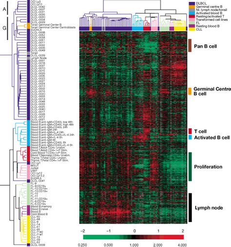 8 Cluster Analysis Foundations Of Applied Statistics