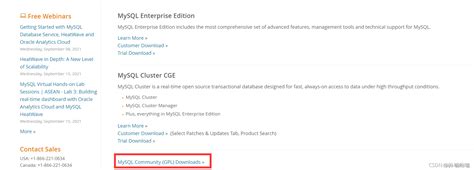 Mysql8030安装配置教程windows 64位最详细mysql830 Csdn博客