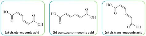 Recent Advances In Muconic Acid Extraction Process