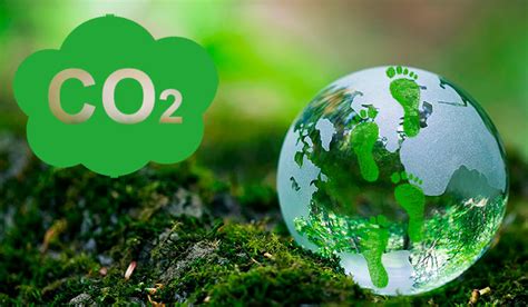 ¿para Qué Sirve La Huella De Carbono Sgk Planet
