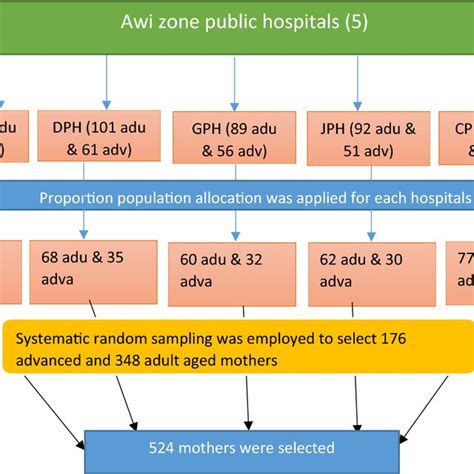 Schematic Presentation Of Sampling Procedure To Select 524 Women At Download Scientific