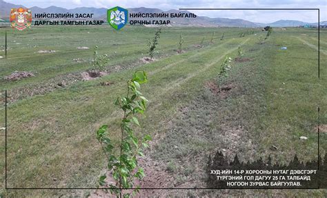 2021 ОНД 105 ГА ТАЛБАЙД Нийслэлийн Байгаль орчны газар