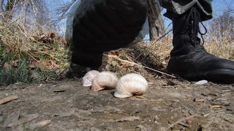 Army Boots Crush Shell