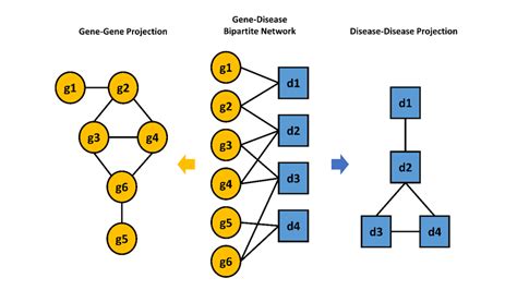 A Representation Of A Heterogeneous Network Composed Of Gene Disease