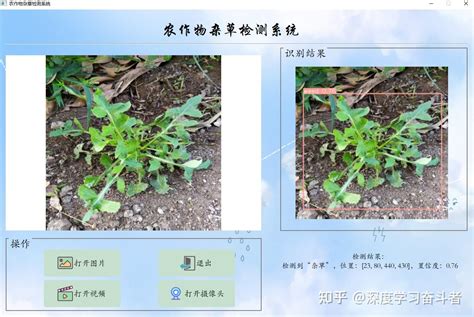 Yolov8pyqt5农作物杂草检测系统完整资源集合（yolov8模型，从图像、视频和摄像头三种路径识别检测，包含登陆页面、注册页面和检测