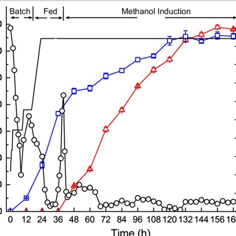 Fed Batch Fermentation Of The Yeast Strain In A 3 L Bioreactor Trypsin