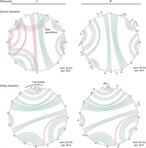 Rna Secondary Structure Modeling At Consistent High Accuracy Using Differential Shape