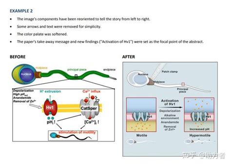 高质量的graphical Abstract应该这么做，大部分作者都忽视！ 知乎