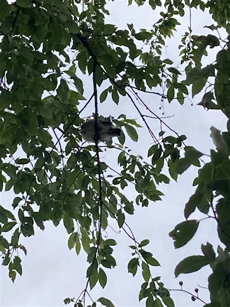 Watcha Doing Today Page 131 Where The Heart Is Mrssurvival Discussion Forums