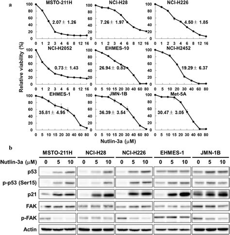 Growth Inhibitory Activity And Molecular Expression Induced By
