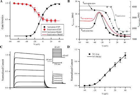 Model Representation Describing I Kur And Simulated Voltage Clamp A