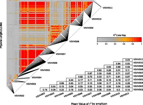 Linkage Disequilibrium Plot Based On R 2 Vs Values For The Snps And
